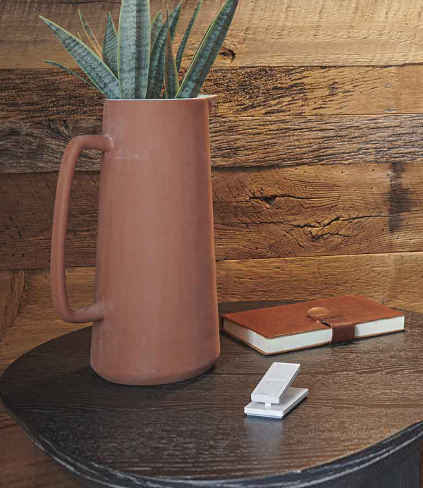 Pico Original Smart Remote for Switches | Caséta by Lutron